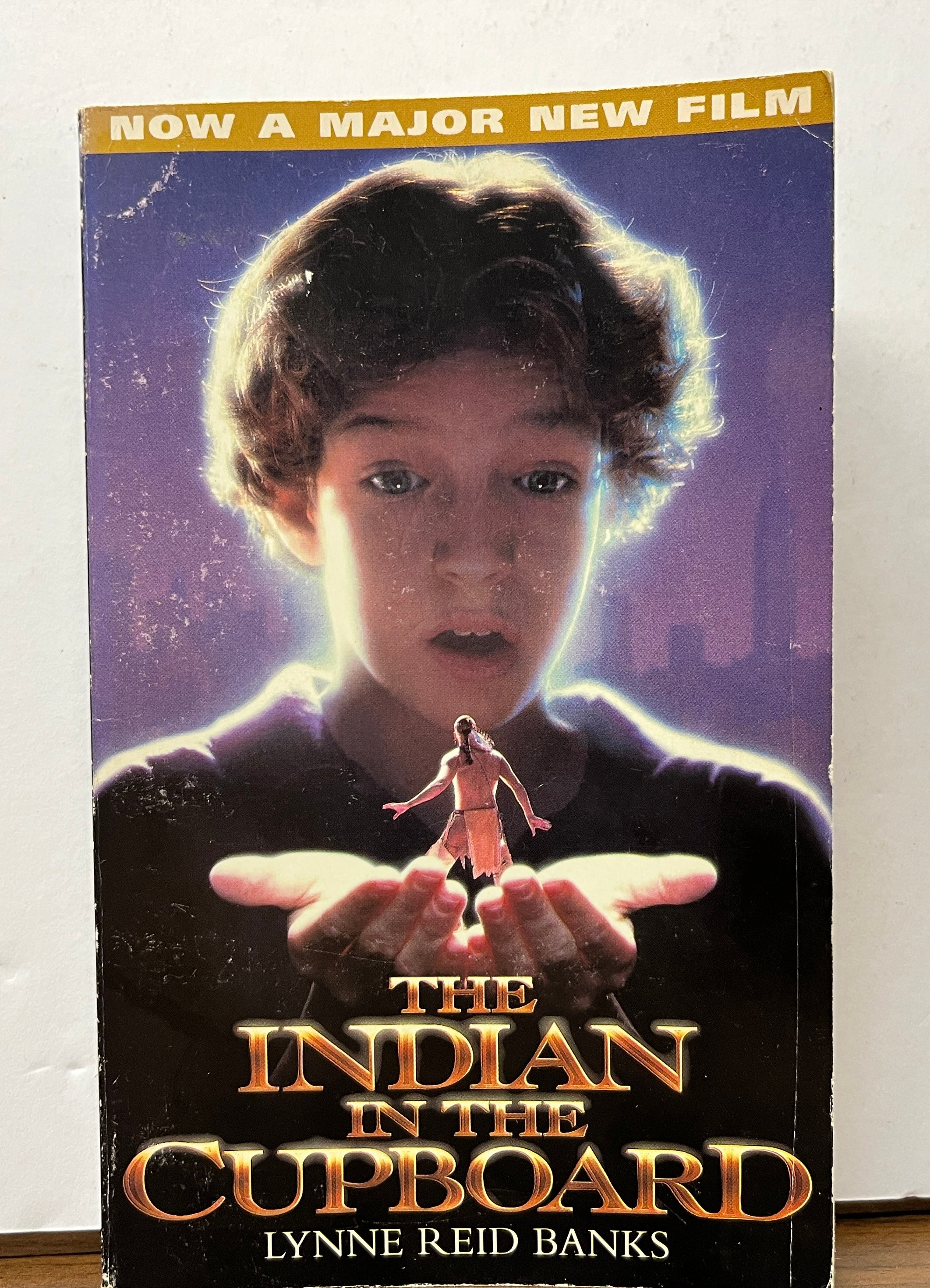 The Indian in the Cupboard by Lynne Reid Banks - T's Textbooks