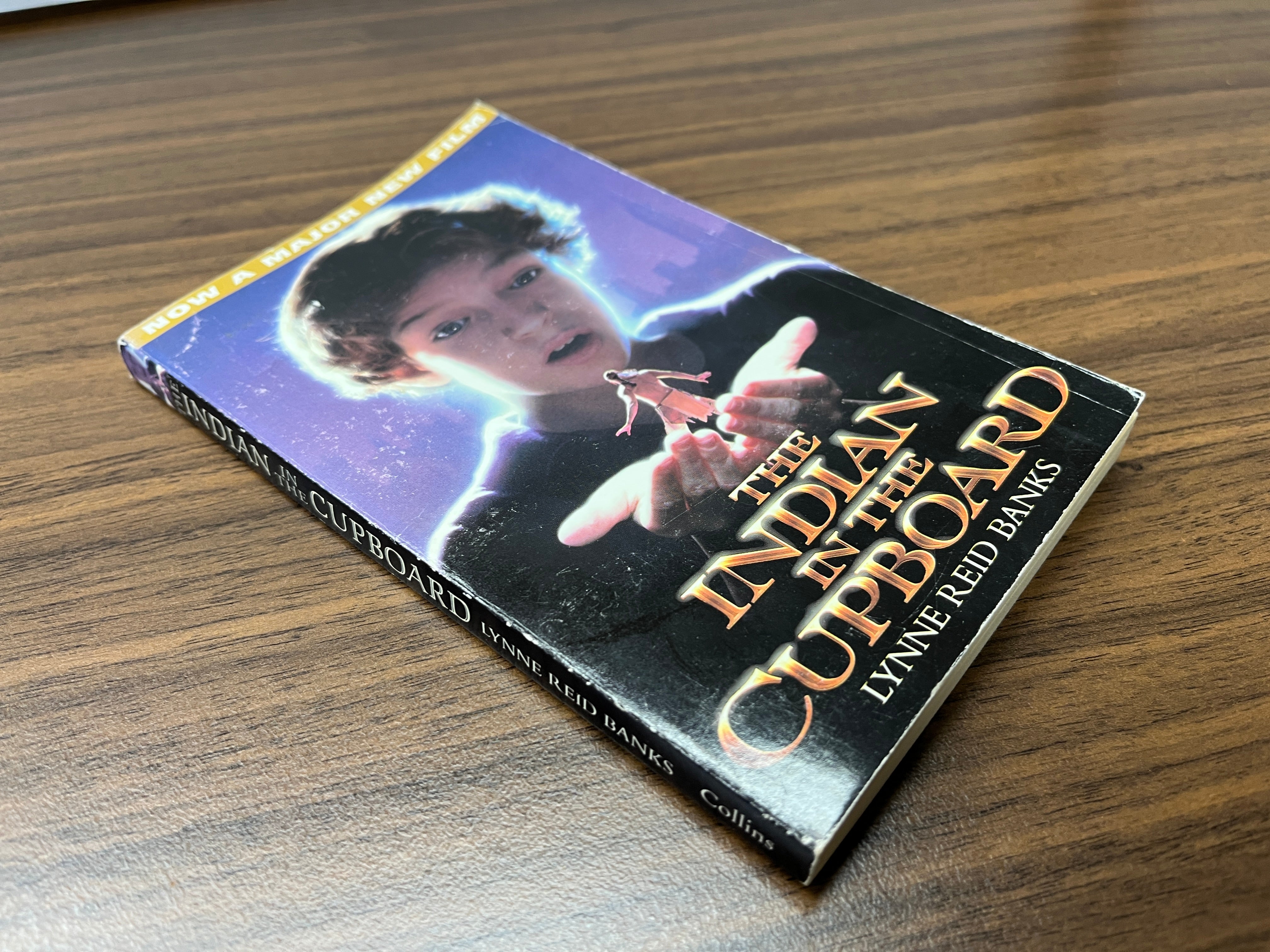 The Indian in the Cupboard by Lynne Reid Banks - T's Textbooks